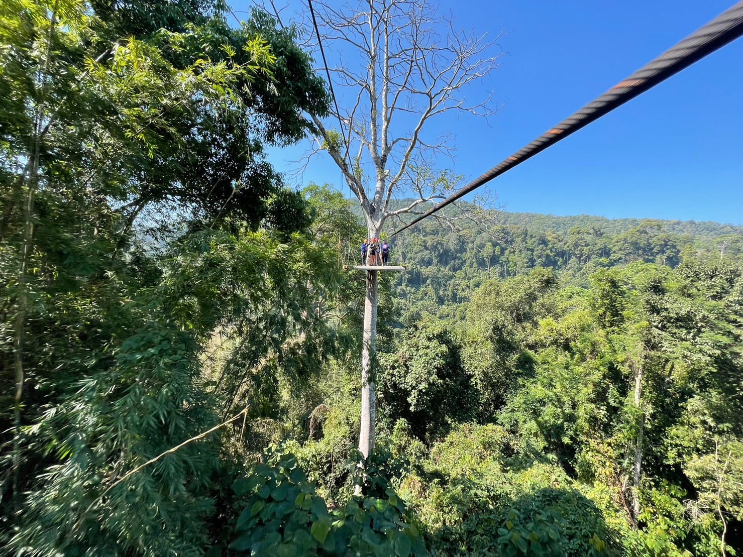 Zipline Short Course - Sky Hawk Zipline