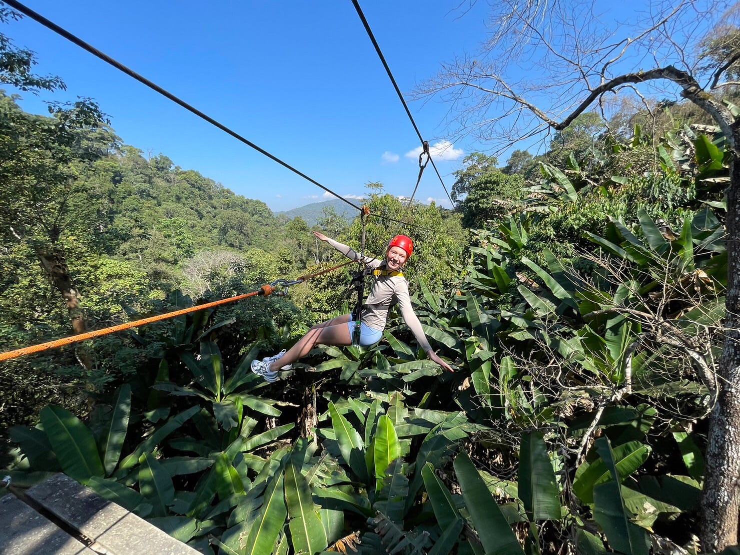 Zipline Short Course - Sky Hawk Zipline